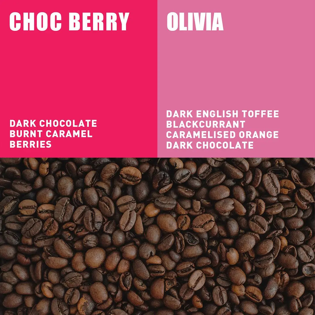 Award Winning Duo Coffee Taster Pack – The Wood Roaster